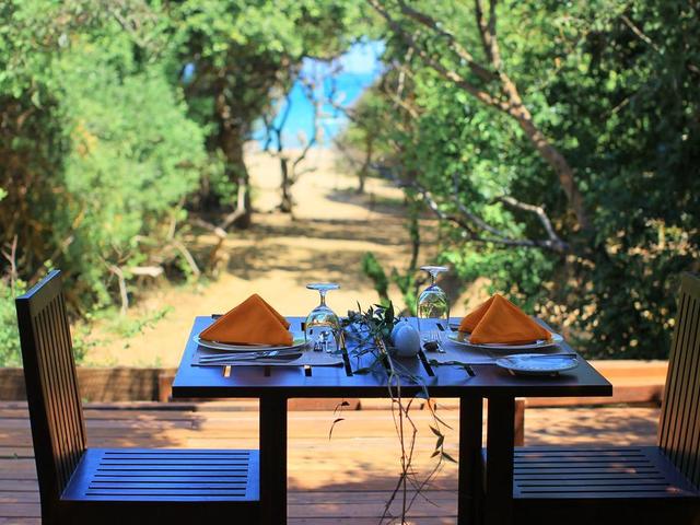 Туры в отель Uga Escapes Jungle Beach 5*, Шри-Ланка, Тринкомали — цены и отзывы 2023 Jungle ...